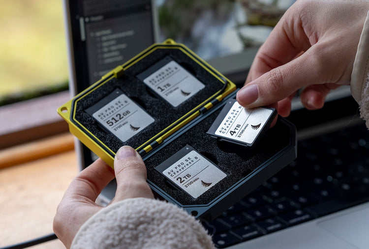 FX Studio 60×90cm Softbox Lighting Kit – 200W RGB with Remote ...